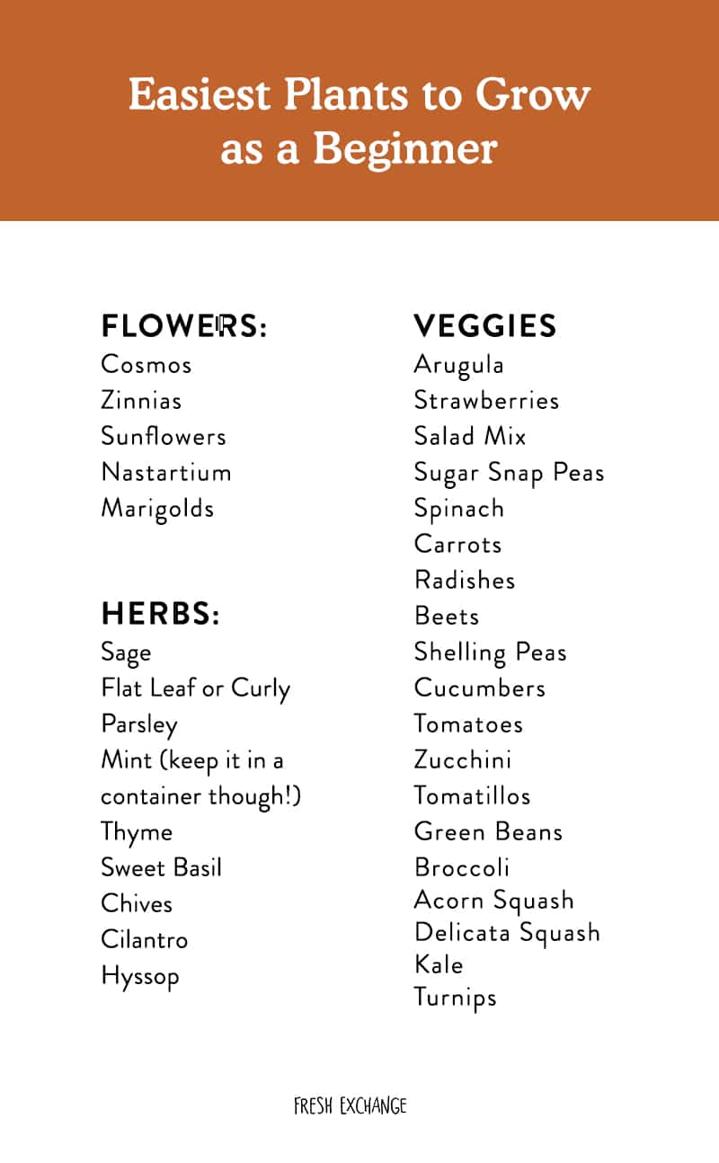 First Garden - What to Grow and When to Start - Fresh Exchange