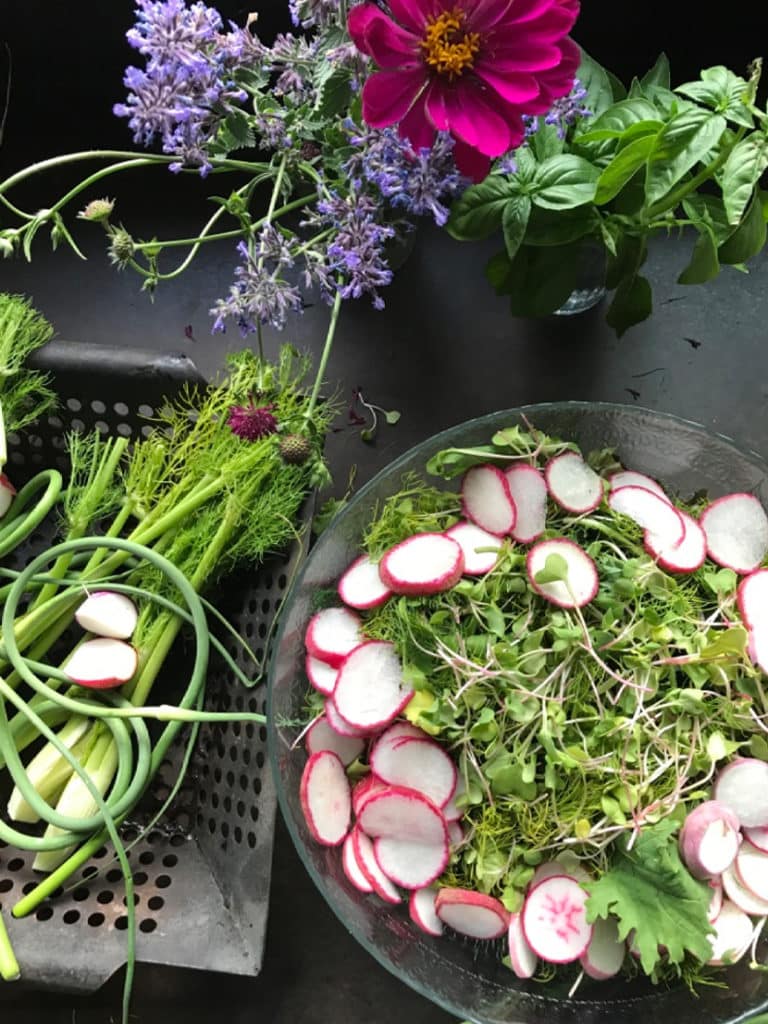 Bright Fresh Microgreens - What to do & How to prepare - Fresh Exchange